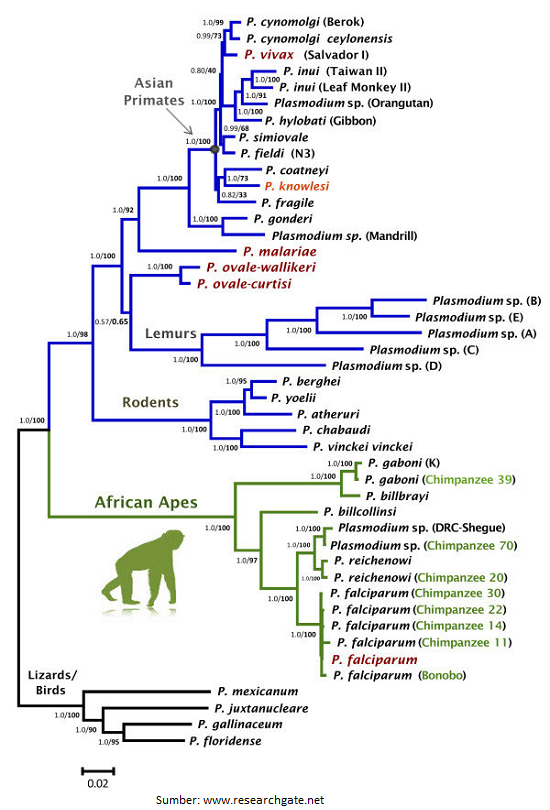 Belajar Pintar Materi SMP, SMA, SMK