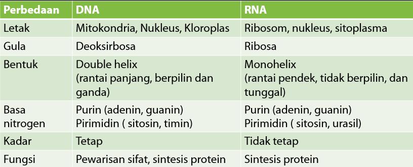 Materi Biologi - Genetika Kelas 12 MIA - Belajar Pintar