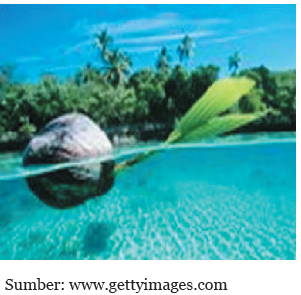 Belajar Pintar Materi SMP, SMA, SMK