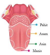 Belajar Pintar Materi SMP, SMA, SMK