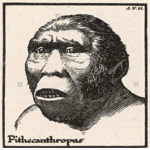 Belajar Pintar Materi SMP, SMA, SMK