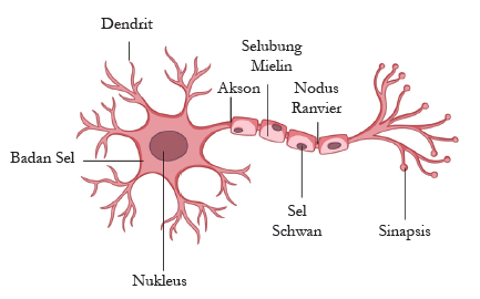 Belajar Pintar Materi SMP, SMA, SMK