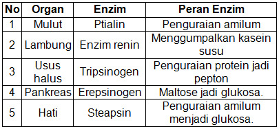 Belajar Pintar Materi SMP, SMA, SMK