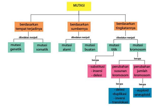 Pengertian Mutasi dalam Biologi